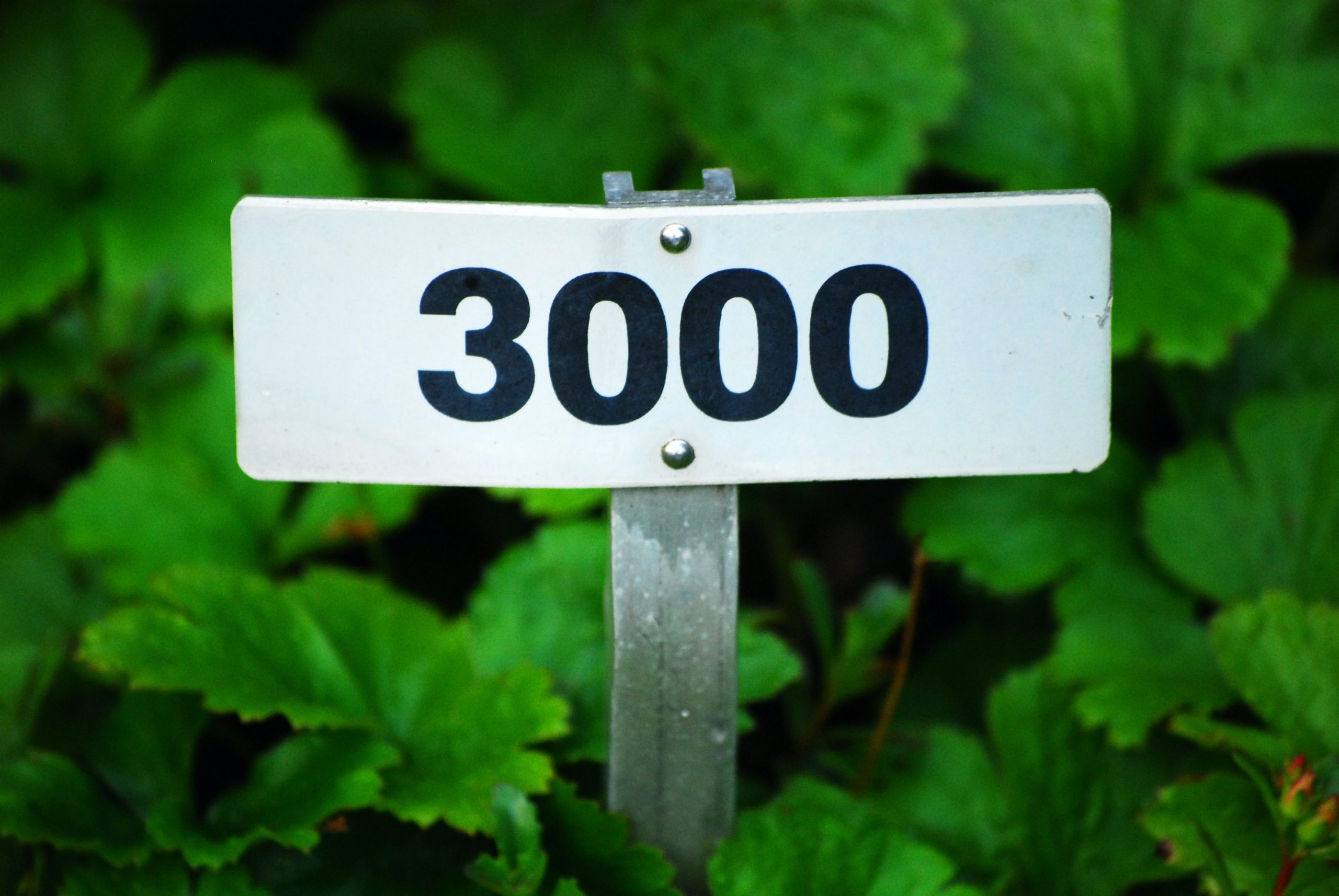 The 3,000. How to be Realistic with Temporary Licensure. - The ...